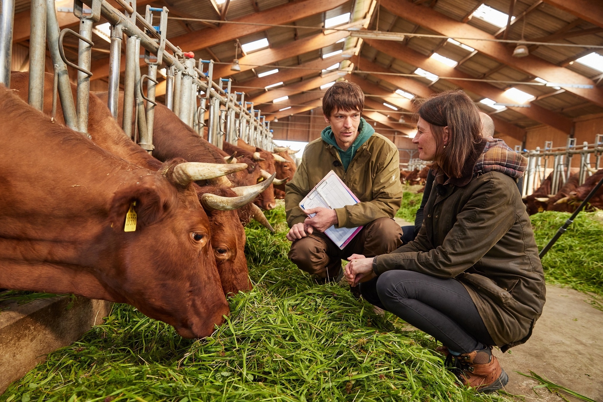 Miriam Staudte begrüßt Förderprogramm für tierwohlgerechten Stallumbau ...