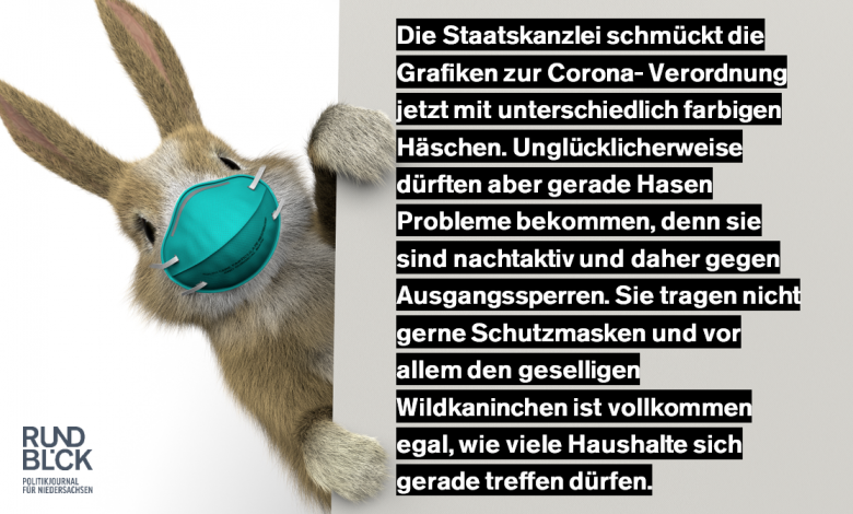 Mein Name ist Hase – Rundblick Niedersachsen