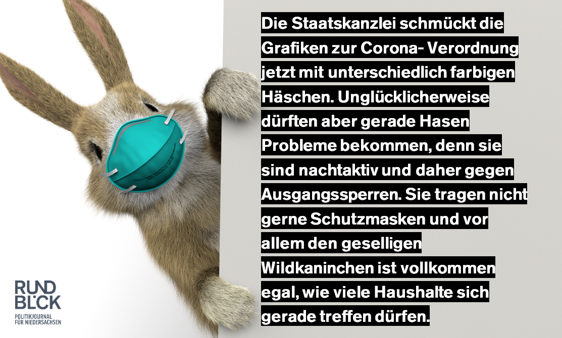 Mein Name ist Hase – Rundblick Niedersachsen